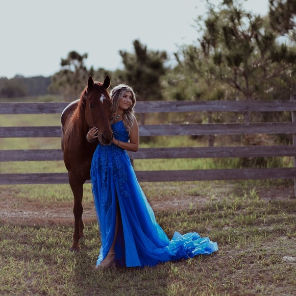 Dresses | Jenny Rogan Prom Dress Perfect Condition | Poshmark